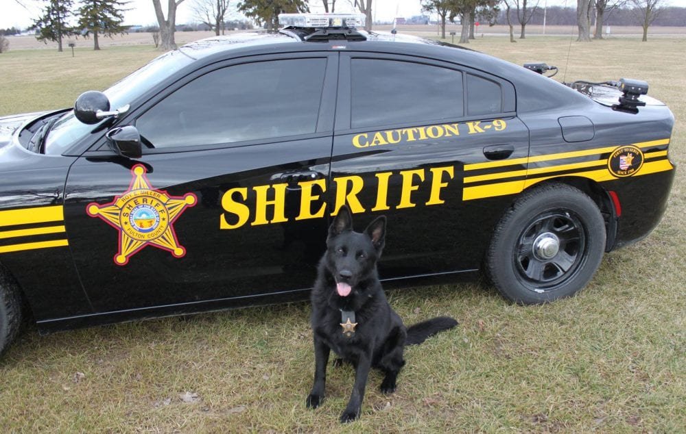 Fulton County Sheriff's Office K9 Fazzo To Get Body Armor | The Village ...